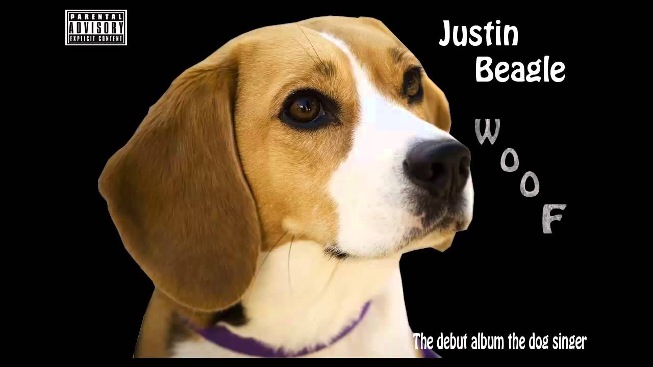 Justin Beagle's: Woof - Jingle Bells - YouTube