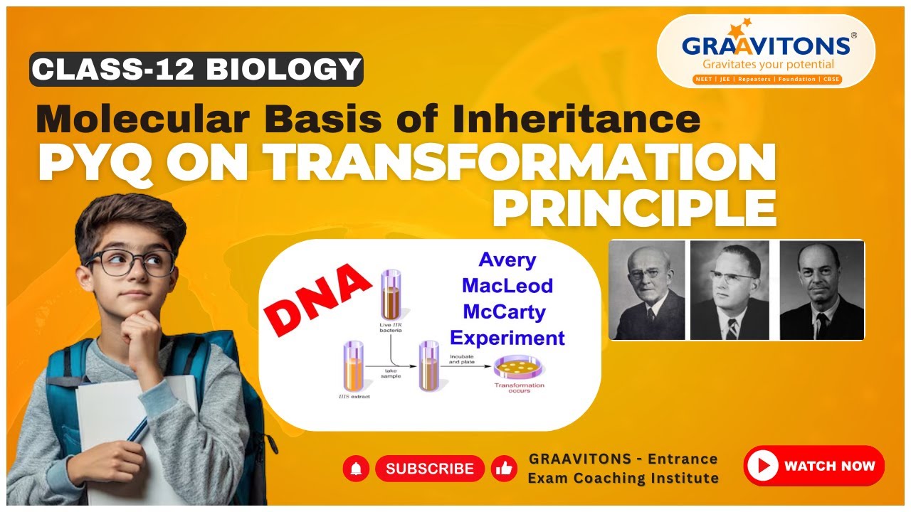 Transformation of Principle | Avery, MacLeod, McCarty | Class 12 - PYQ ...