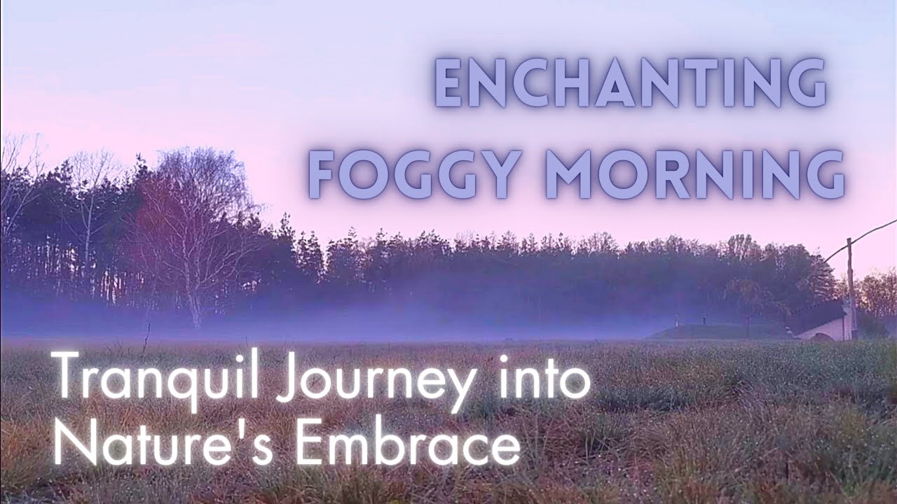 Enchanting Foggy Morning | A Tranquil Journey into Nature's Embrace ...