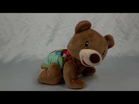 VTech Explore & Crawl Learning Cub Talking Moving Musical Interactive Bear