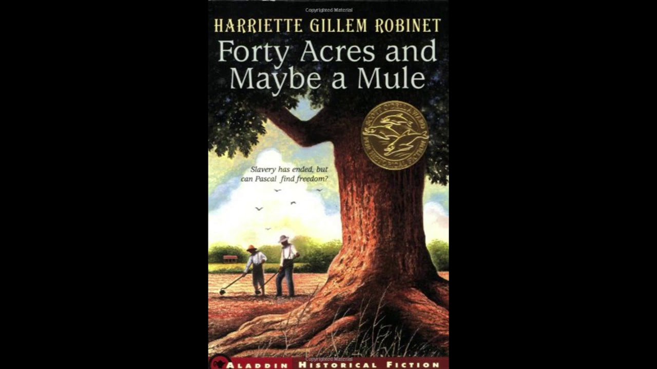 Forty Acres and Maybe a Mule - Chapter 10 - YouTube