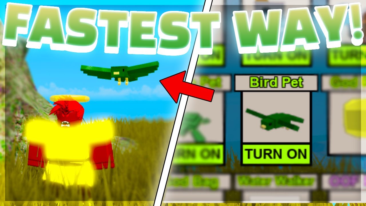 🐦FASTEST WAY OF GETTING NEW BIRD PET IN BOOGA BOOGA REBORN💨 - YouTube