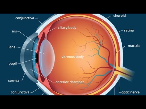 CLASS 10, Hypermetropia (Hyperopia,Farsightednessor Longsightedness ...