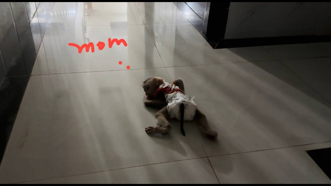 Richard look satt & c..inq because he can’t finding mom - YouTube