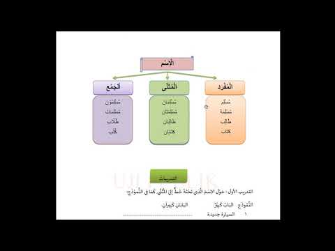 Isim Mufrad, Mutsanna, dan Jamak || اِسْم الْمُفْرَد وَالْمُثَنَّى ...