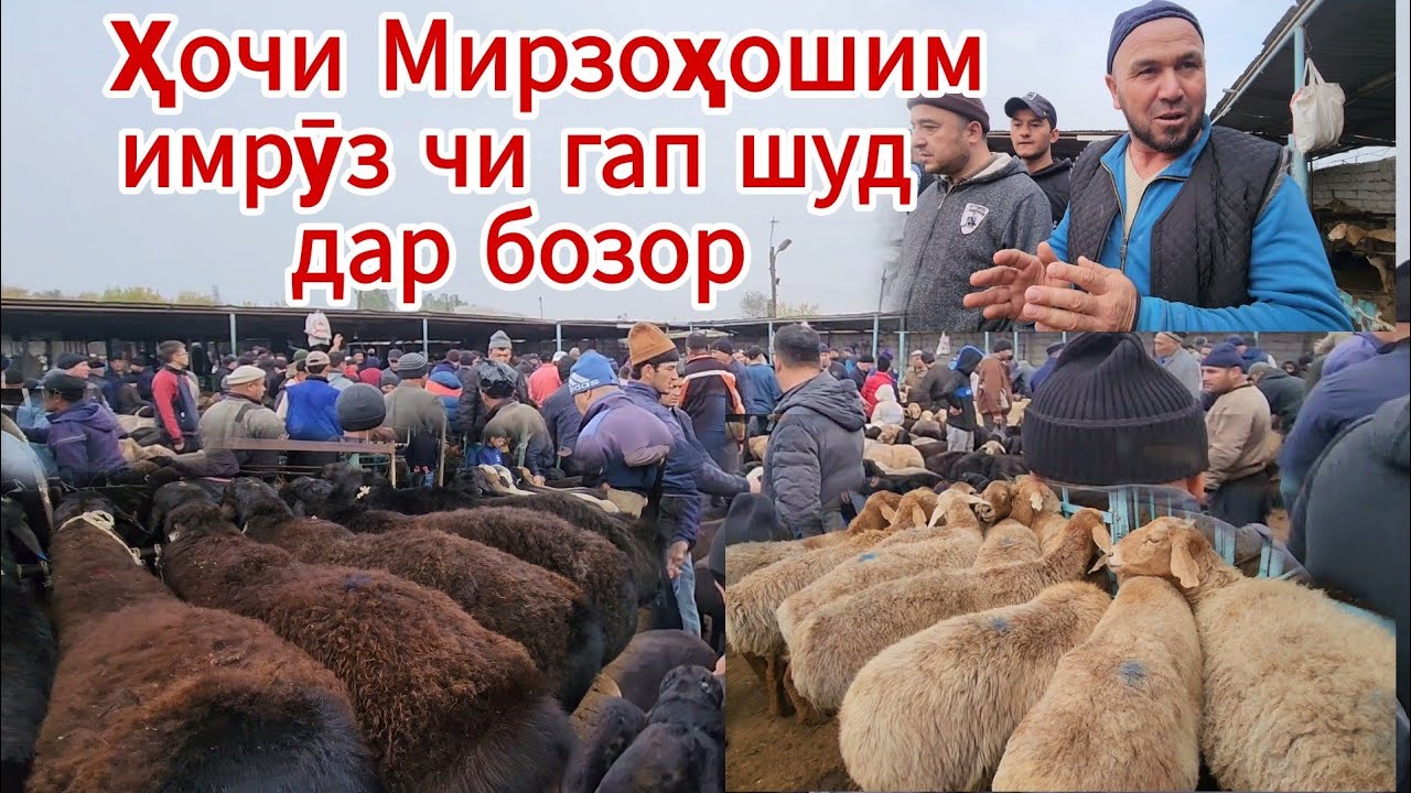 Молбозори шахри Хуҷанд Молҳои майда Ҳочи Мирзоҳошим 🇹🇯 Youtube