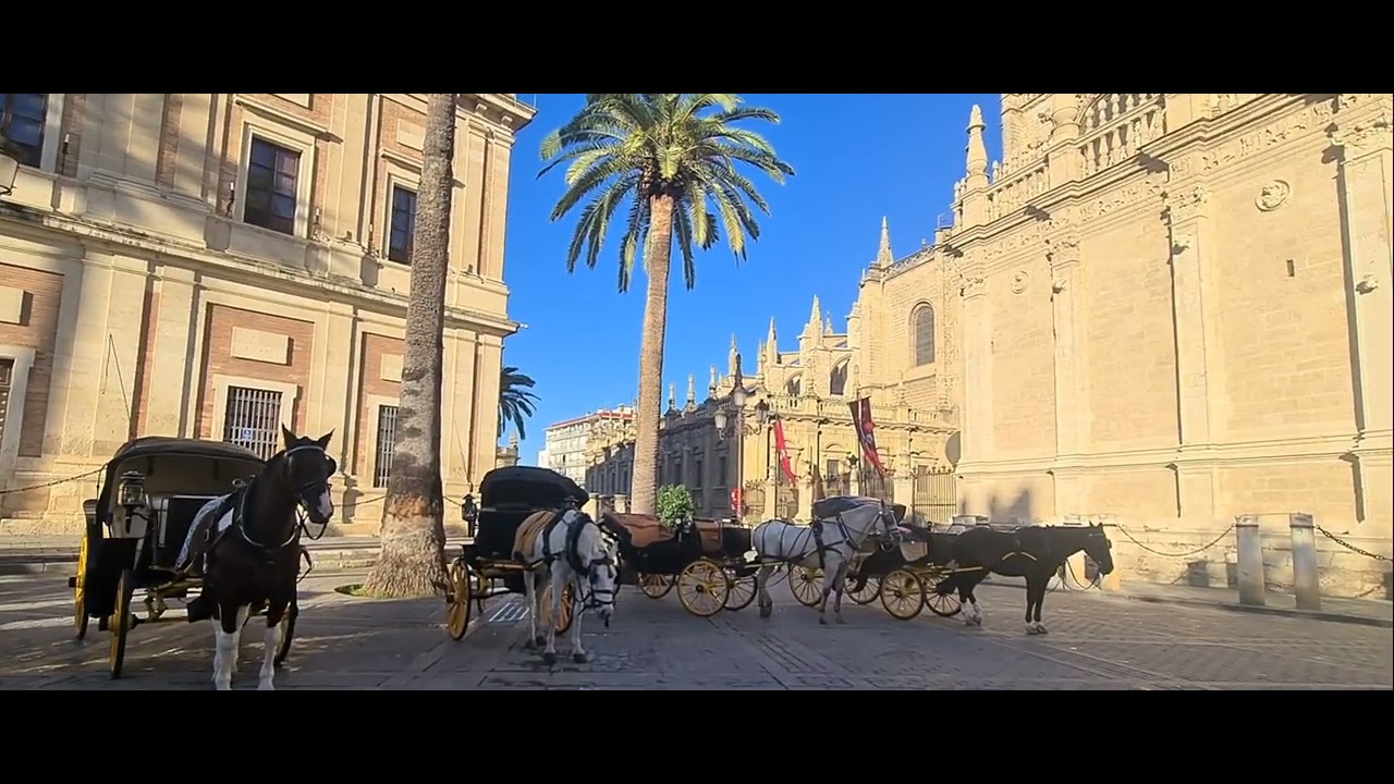 Dit is mijn Travel film van Sevilla 2023 - YouTube