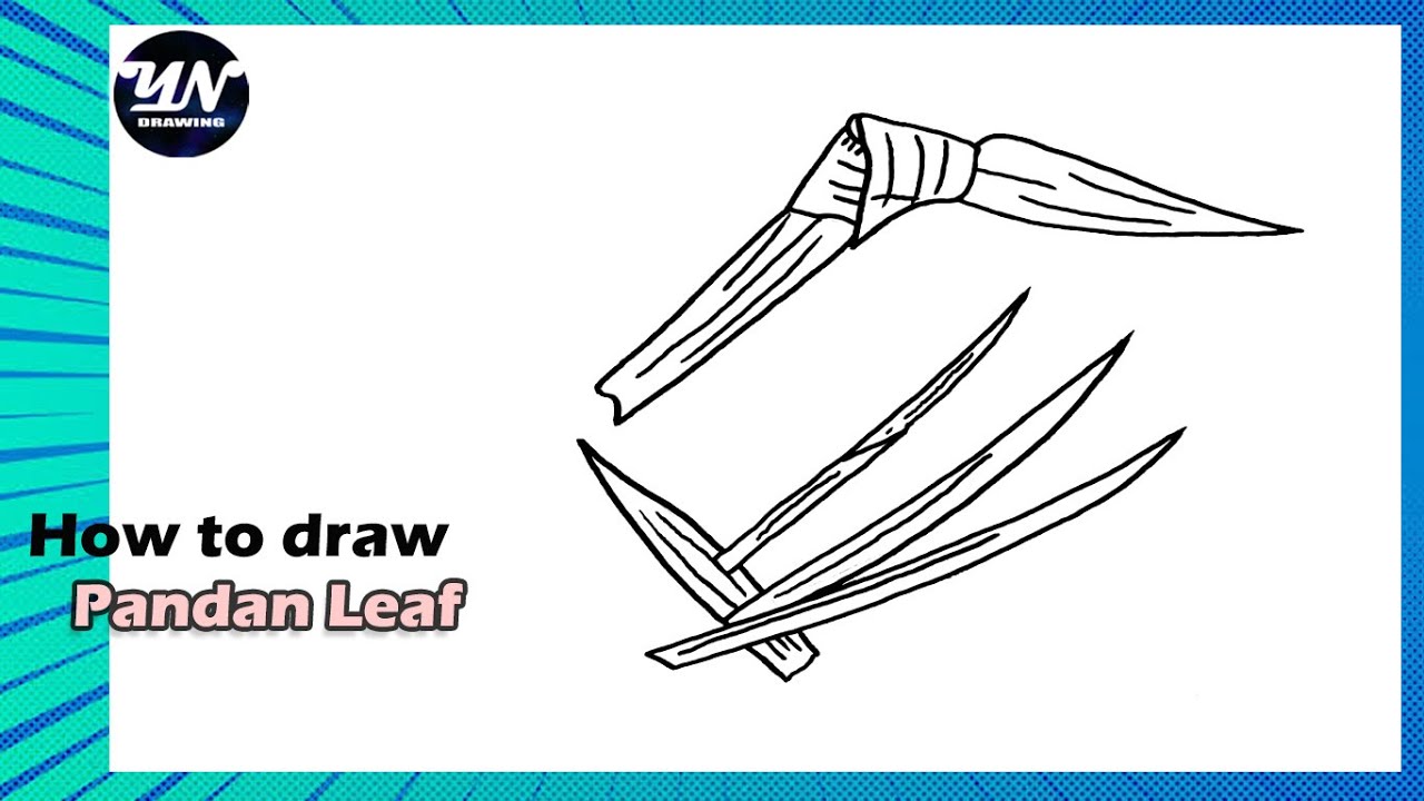 How to Draw Pandan Leaf - YouTube