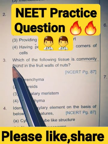 NEET PRACTICE QUESTION FOR NEET-2024 #shorts #viral #neet #aiims - YouTube