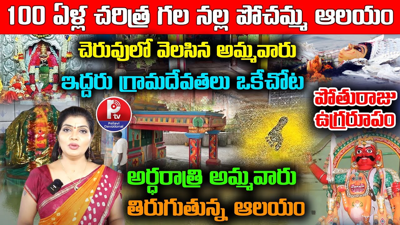 Nangunoor Nalla Pochamma Temple History |నంగునూరు నల్లపోచమ్మతల్లి ...