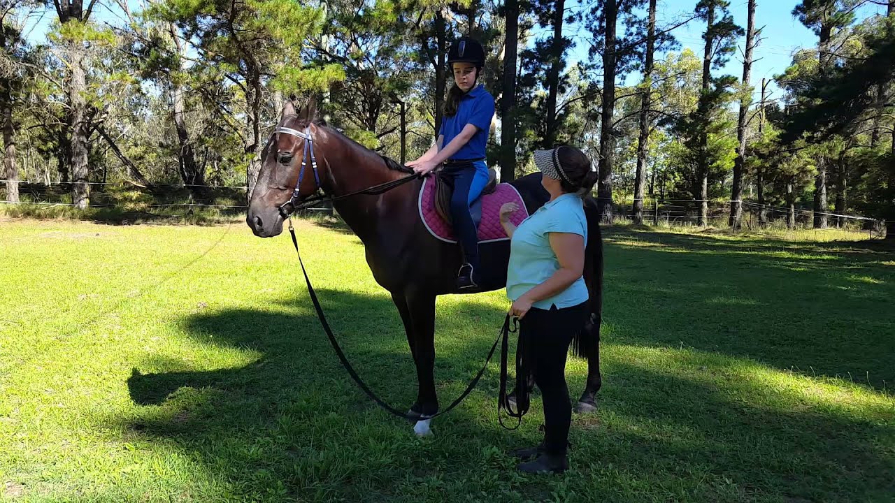 Basics of the Rising Trot - YouTube