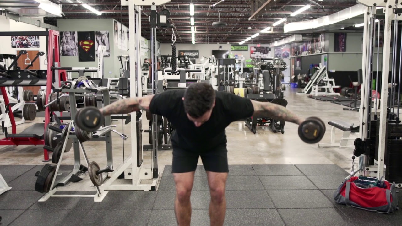 REAR DELT FLYES - YouTube