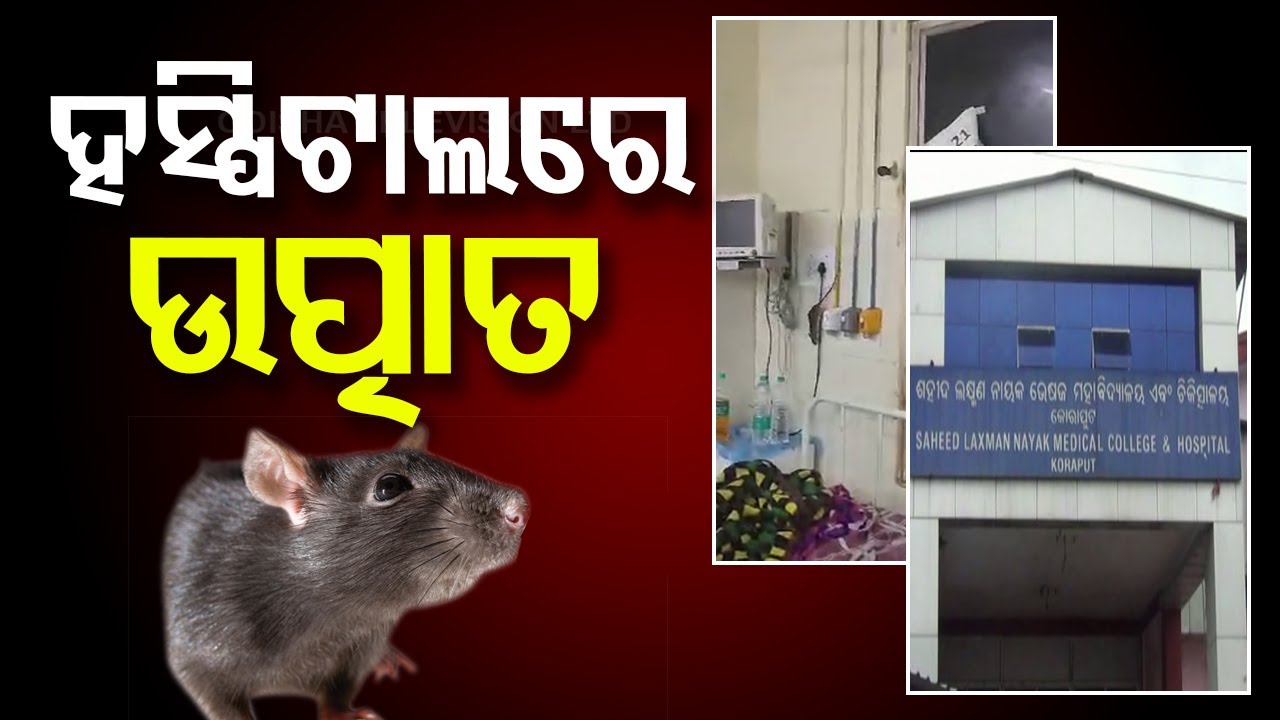 Rat Menace at Saheed Laxman Nayak Medical College and Hospital In ...