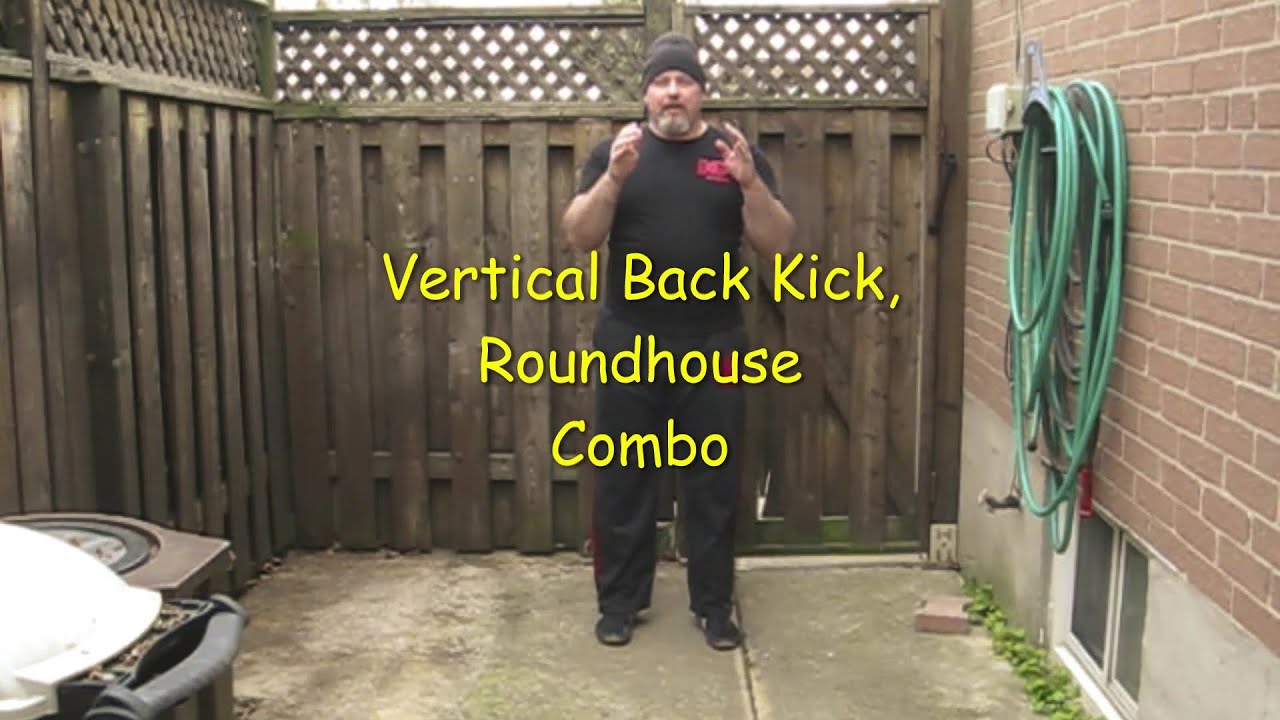 Vertical back kick, Roundhouse Combo - YouTube