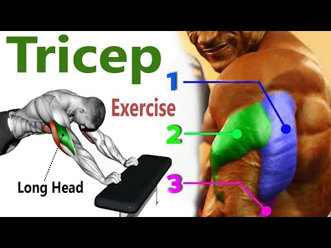 The Perfect Tricep Workout _ With Exercises Names - YouTube