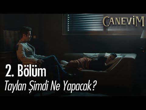 Taylan şimdi ne yapacak? - Canevim 2. Bölüm