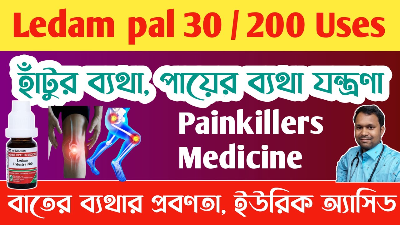 Ledum pal 200 uses in bengali Ledum pal 200 homeopathic medicine Ledum ...
