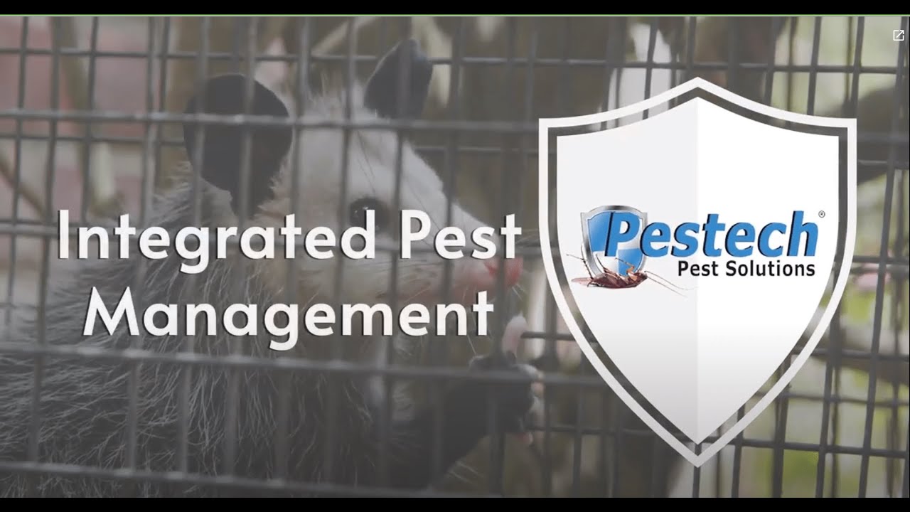 What is Integrated Pest Management (IPM)? | Pestech Pest Control - YouTube