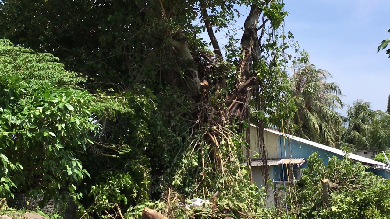 Nika gas kadaalun - YouTube