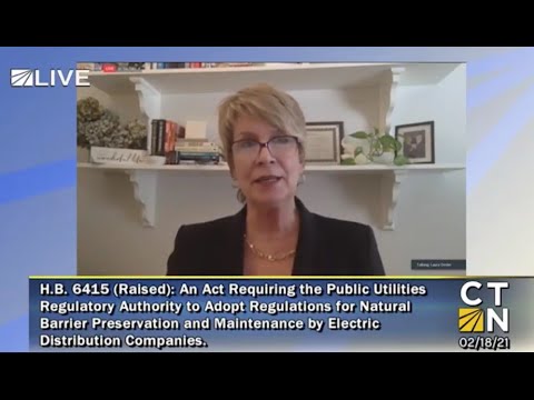 State Rep. Laura Devlin Testifies with Fairfield Constituent - YouTube