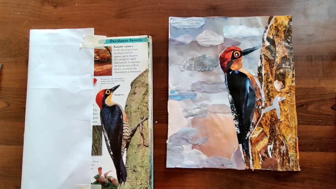 paper collage art | collage art bird | magazine collage art | Collage ...