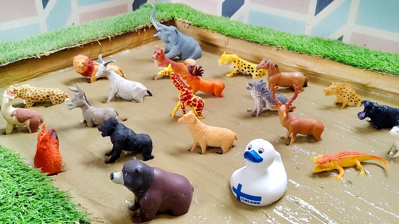 Toddler's Muddy Safari: Exploring the Untamed Jungle and Forest ...