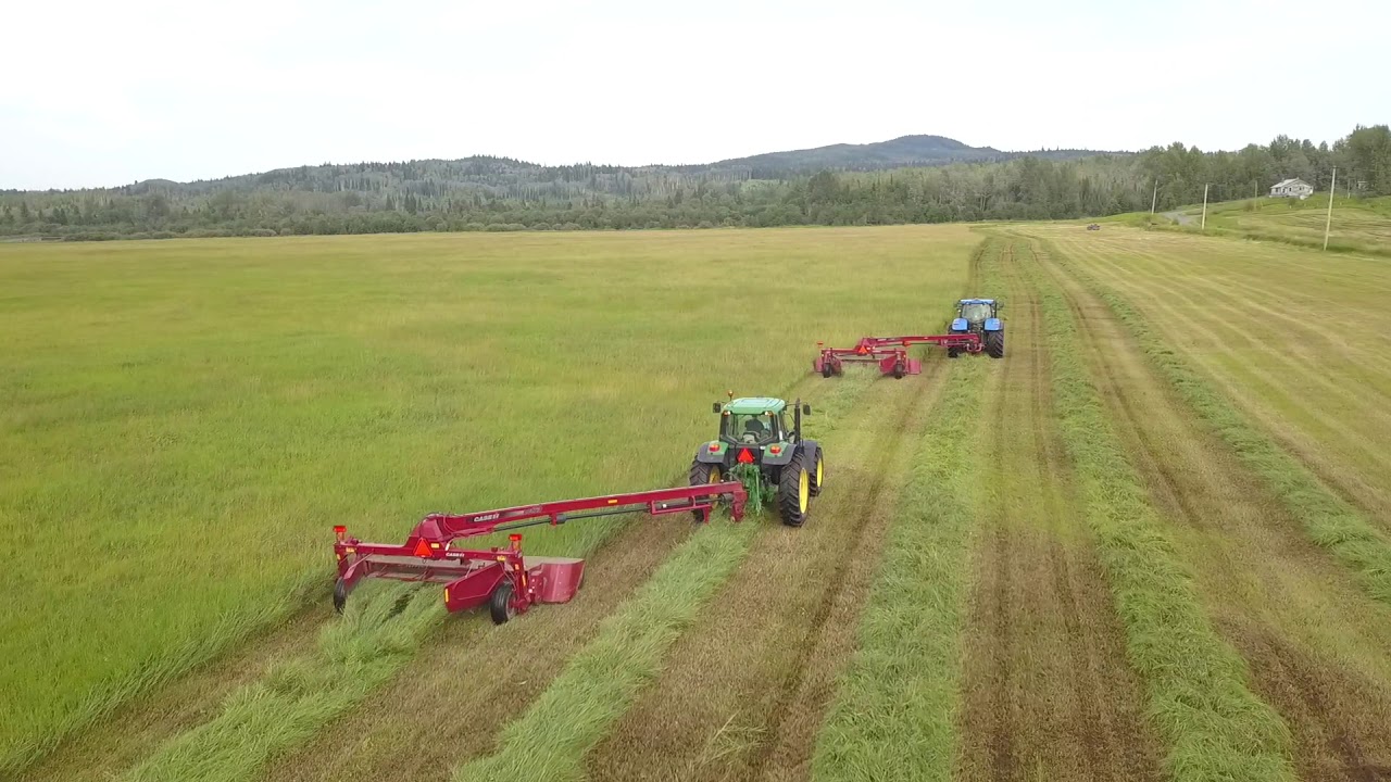 Mowing tandem with two Case DC163 mowers 2019 - YouTube