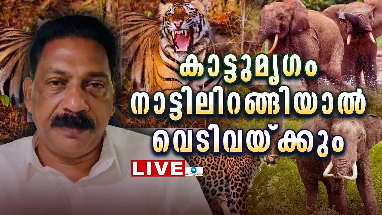 Live: Chakkittapara Panchayat Decides to Shoot Wild Animals | Wild ...