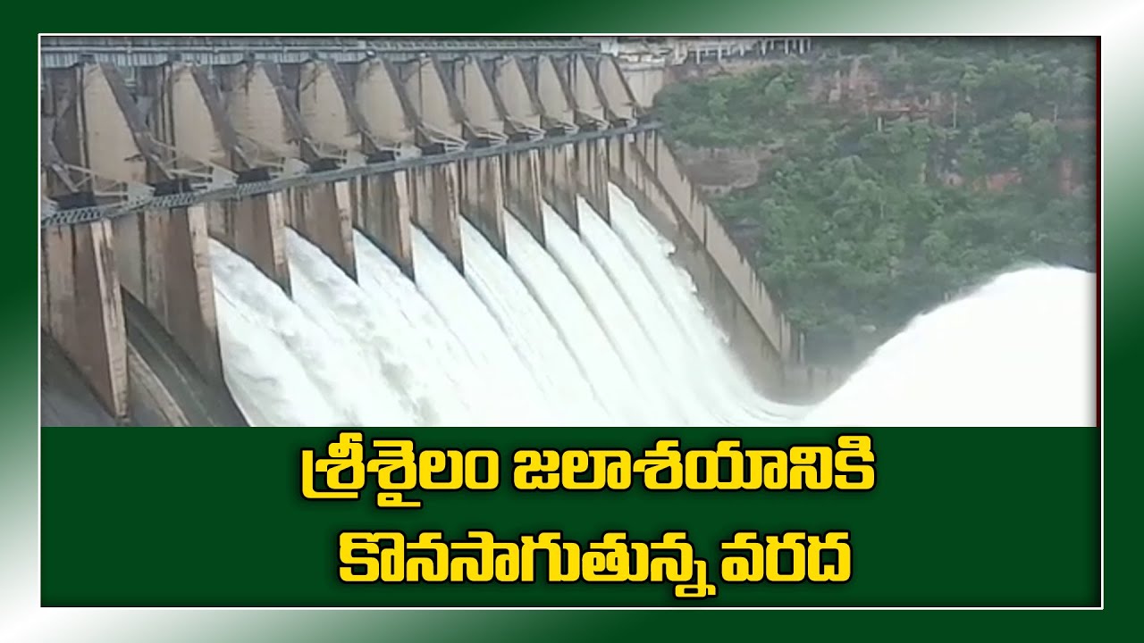 Srisailam Project Water Inflow | Huge Inflow to Srisailam Dam ...