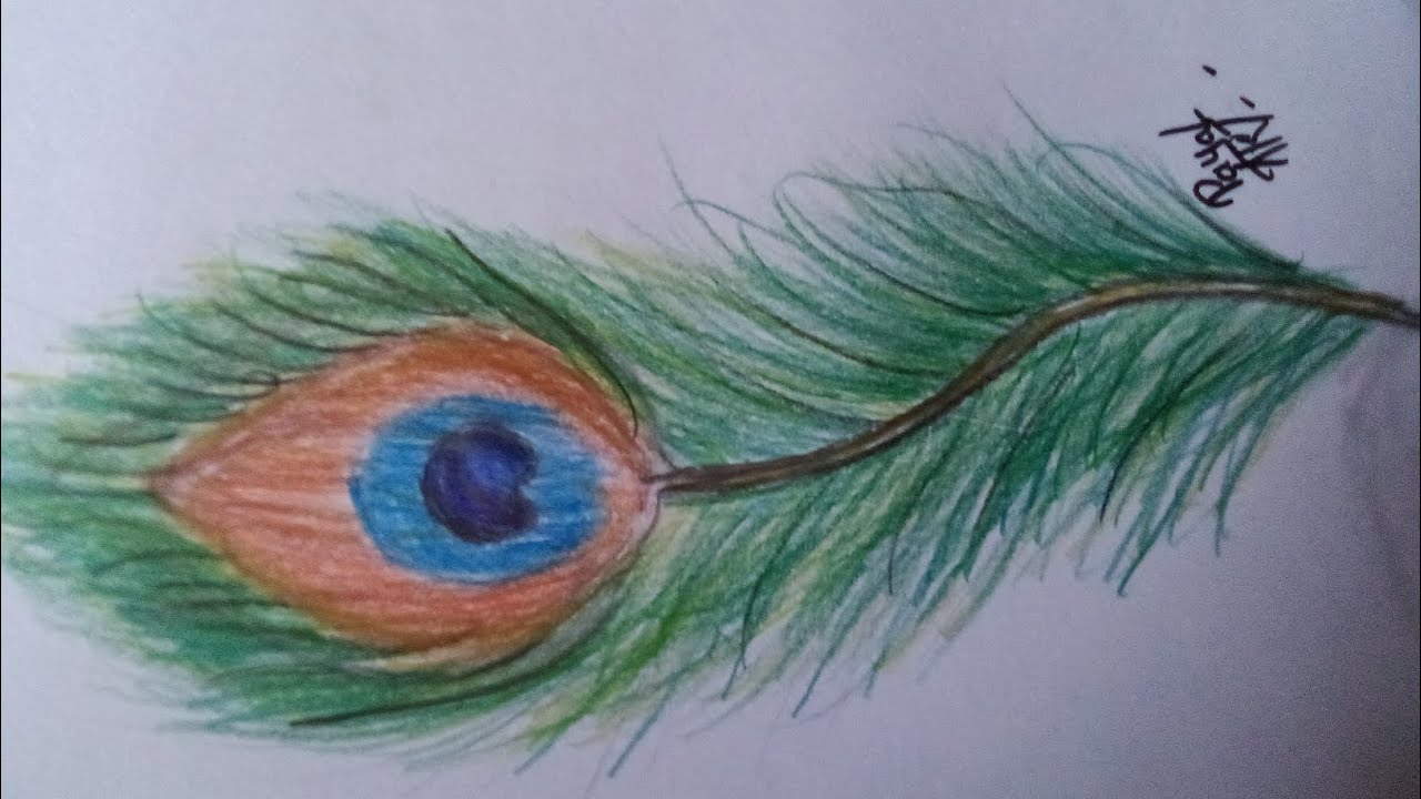 how to draw a morpankh| full tutorial part 1| easy and unique| # ...