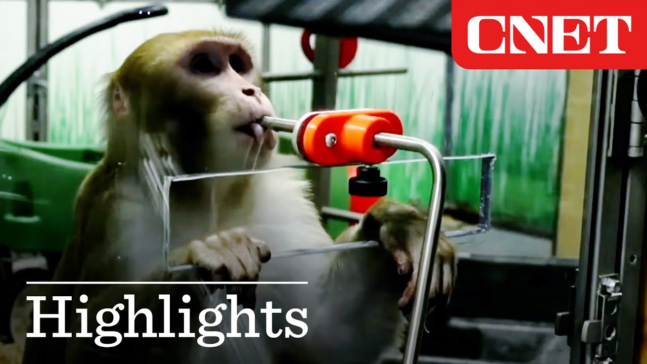 Watch Neuralink's Deep Dive Into Visual Prosthesis Research - YouTube