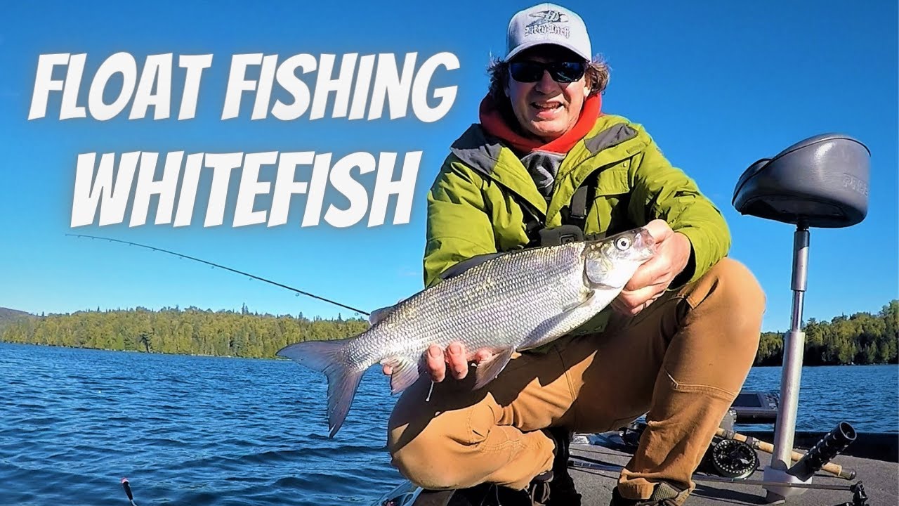 Long Rods, Centerpins, and Slip Floats....A Whitefish Adventure - YouTube