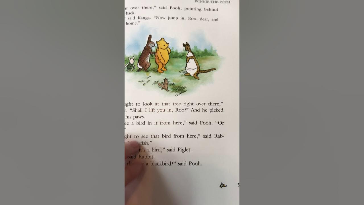 Winnie the Pooh chapter 7, part 2 - YouTube
