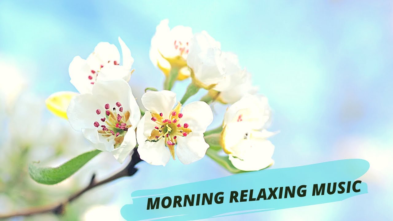MORNING RELAXING MUSIC - PIANO MUSIC FOR STRESS RELIEF & BEAUTIFUL ...