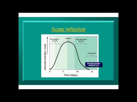 Intro to Persistent Infections - YouTube