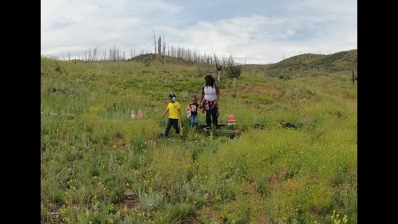 Family out shooting at Turkey Track Shooting Area - YouTube