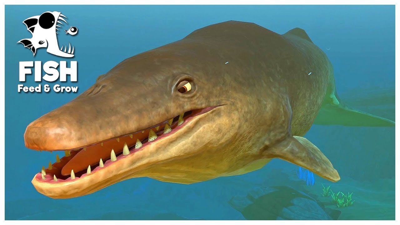 Prähistorischer Wal jagt prähistorische Giganten- Feed and Grow: Fish 🐟 ...