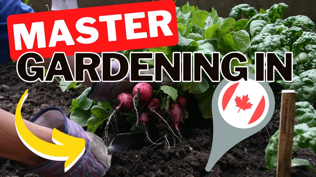 Canadian Gardening Start To Finish. Cold Climate Gardening Tips ...
