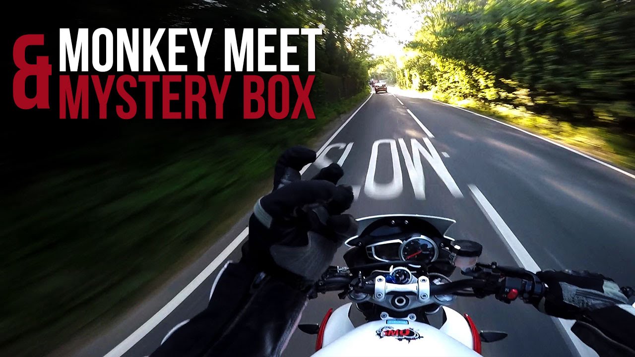 Monkey Meet & the Mystery Box - YouTube