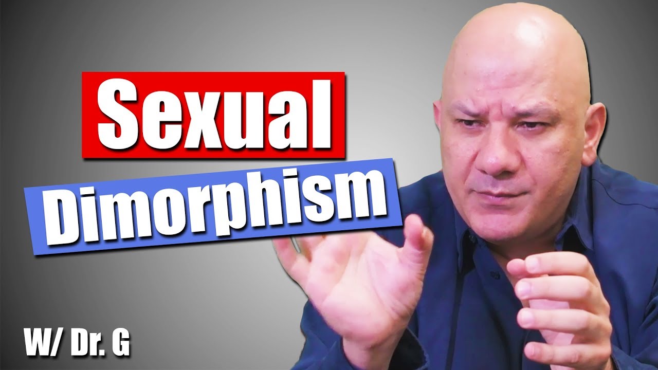Sexual Dimorphism in Humans and Relationships - YouTube