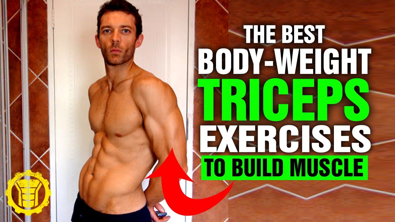 Build BIGGER TRICEPS At Home With These Body-Weight Exercises - Peter ...