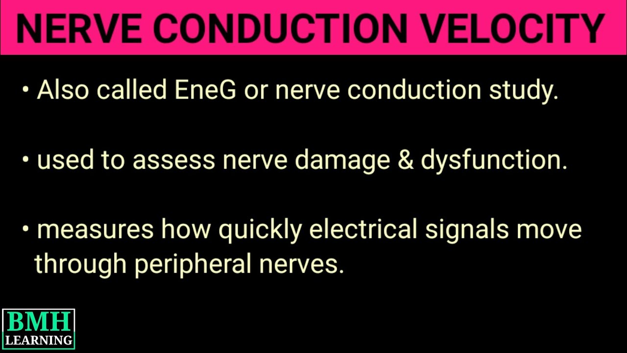 Nerve Conduction Velocity | NCV Test | Electromyography Studies | - YouTube