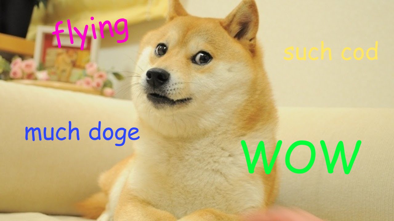 Flying DOGE + REACTION (Call Of Duty) - YouTube