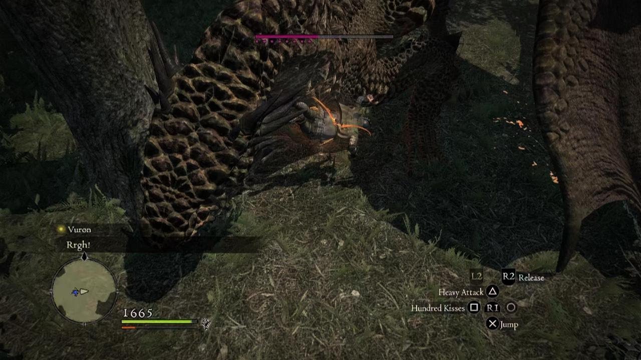 Dragon's Dogma: Dark Arisen - Drake Mini Boss Battle - YouTube