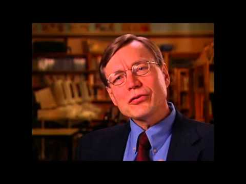 Why Is Mathematics Important For Early Childhood Learners