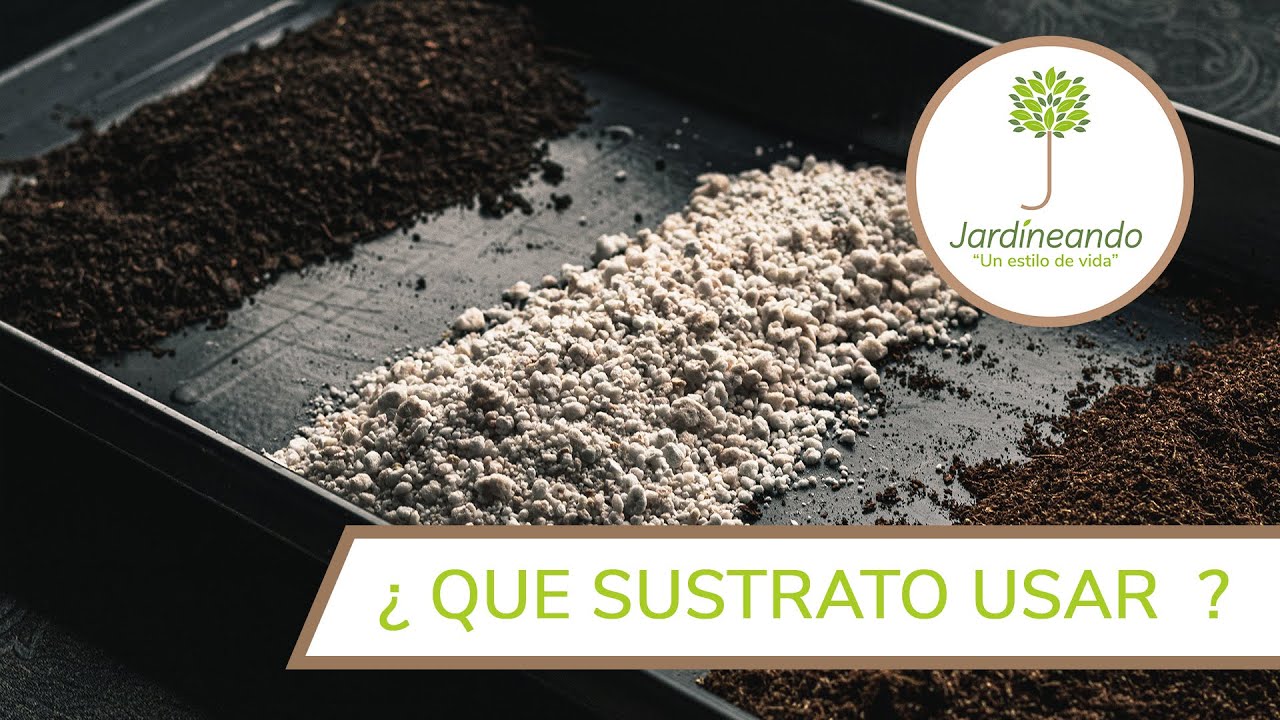 ¿QUE ES UN SUSTRATO?¿QUE SUSTRATO NECESITO PARA MIS PLANTAS? - YouTube