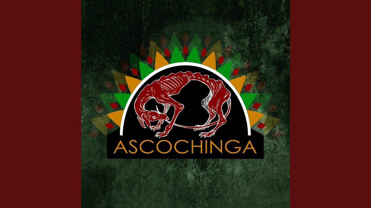 Saracatunga - YouTube