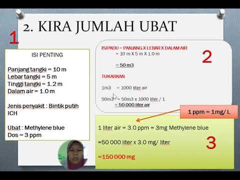 CARA KIRA DOS UBAT PART 2 - YouTube