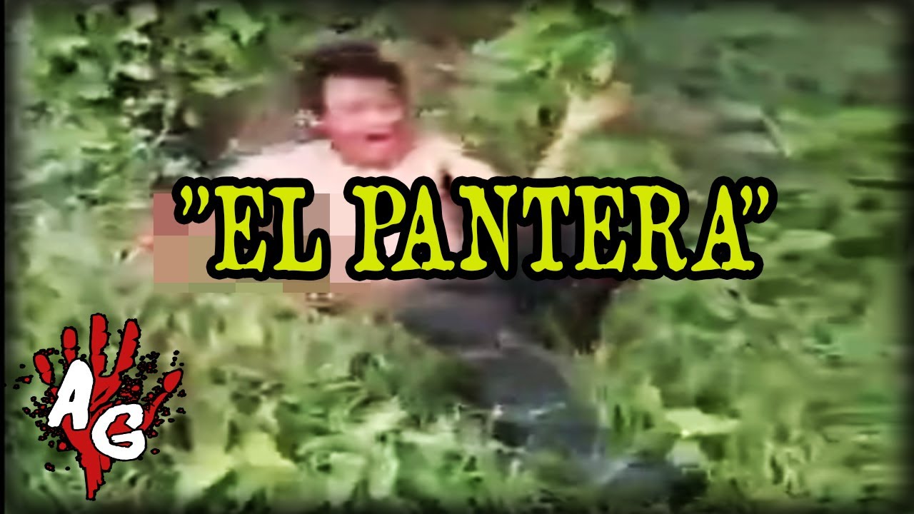 EL PANTERA GORE | CONTEXTO DEL CASO - YouTube