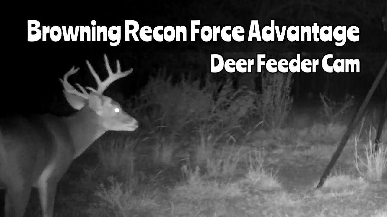 Deer Feeder #1: Browning Recon Force Advantage Nov. 1-2, 2023 - YouTube